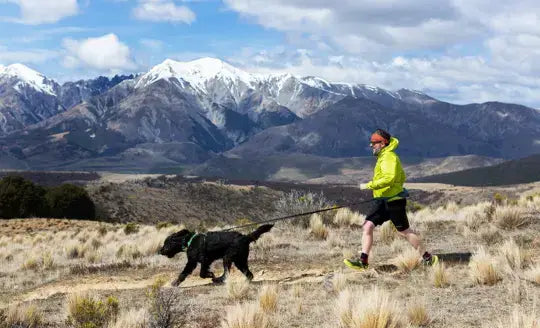How to start Trail Running with your Dog. – Further Faster