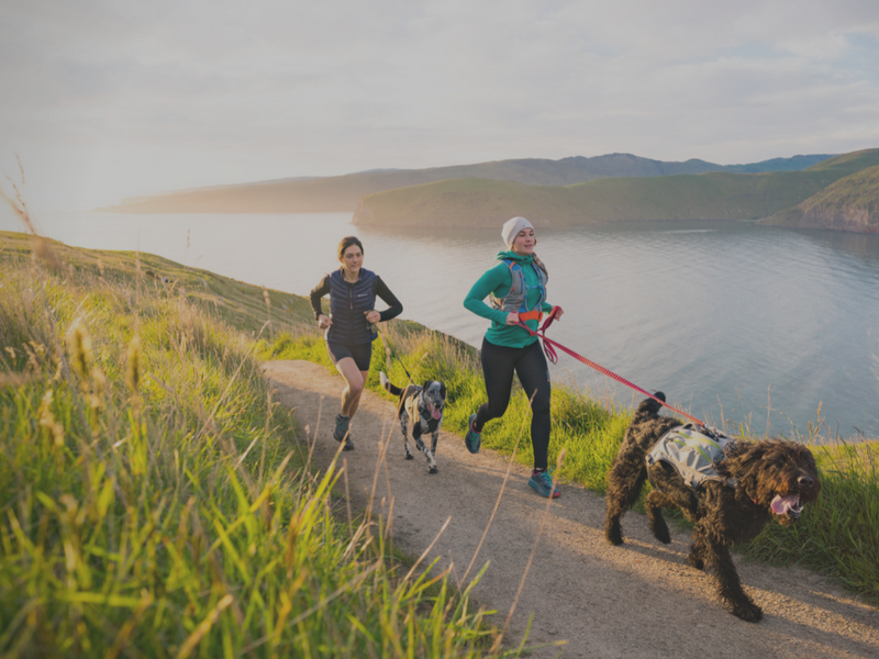 Montane | Outdoor Clothing NZ – Further Faster
