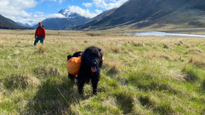 FurtherFaster NZ Outdoor Gear for Humans & Dogs – Further Faster