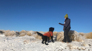 FurtherFaster NZ Outdoor Gear for Humans & Dogs – Further Faster