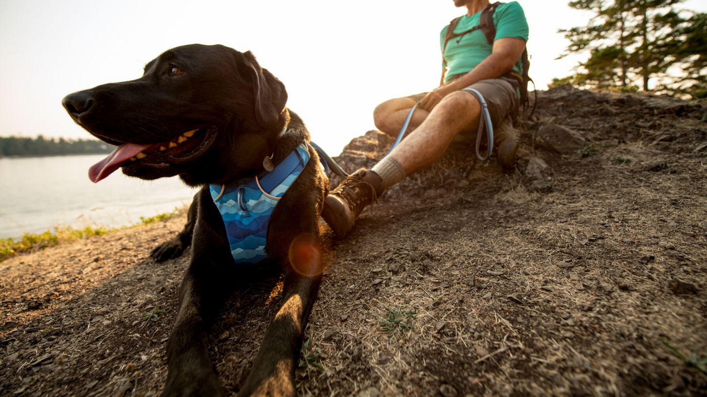 FurtherFaster NZ Outdoor Gear for Humans & Dogs – Further Faster