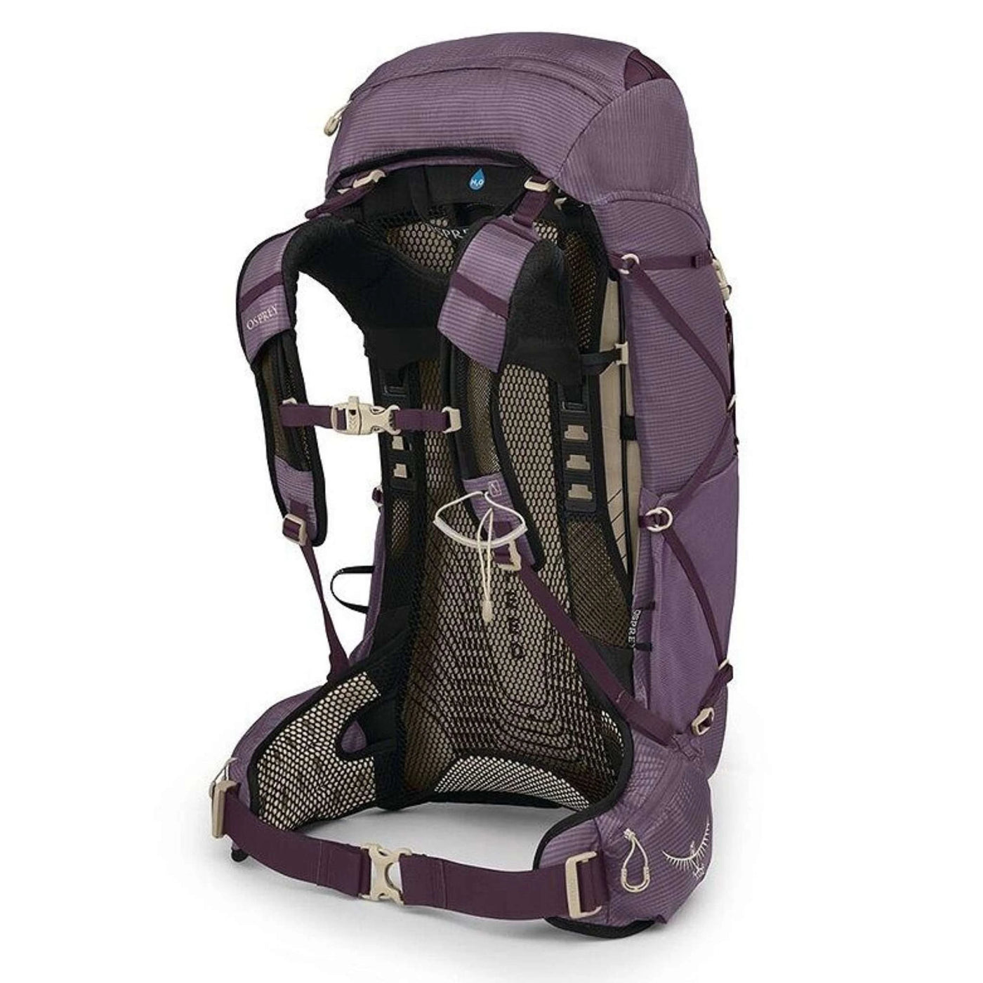 Hiking Pack NZ | Osprey Eja 38 - Womens Pack – Further Faster